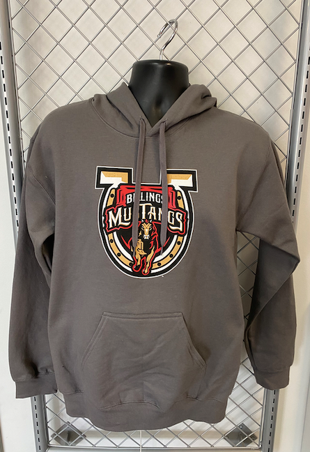 hoodie new primary logo $ 50 . 00